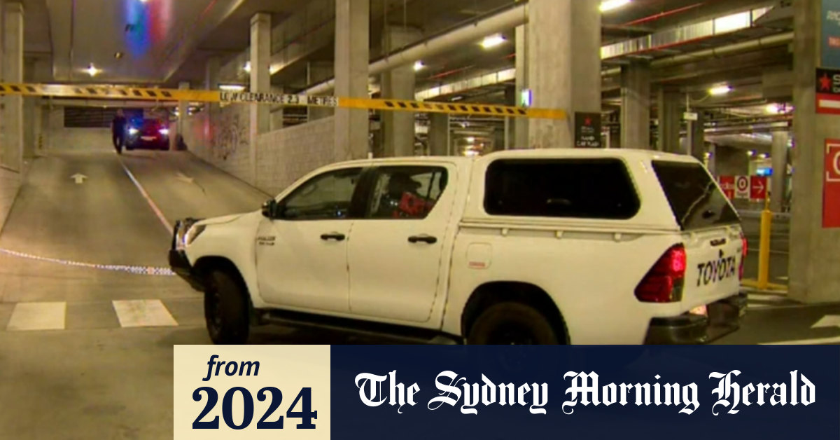 Video: Details emerge about Vyleen White’s alleged killer