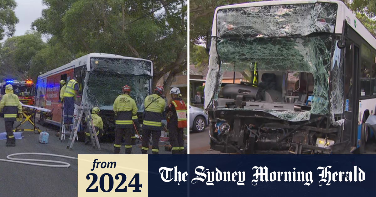 Video: Two buses and a car crash in Sydney's south-west