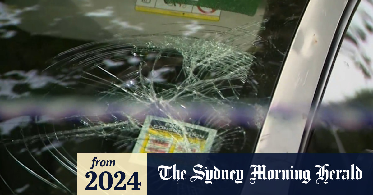 Video: Woman in Tesla hit and run facing jail time