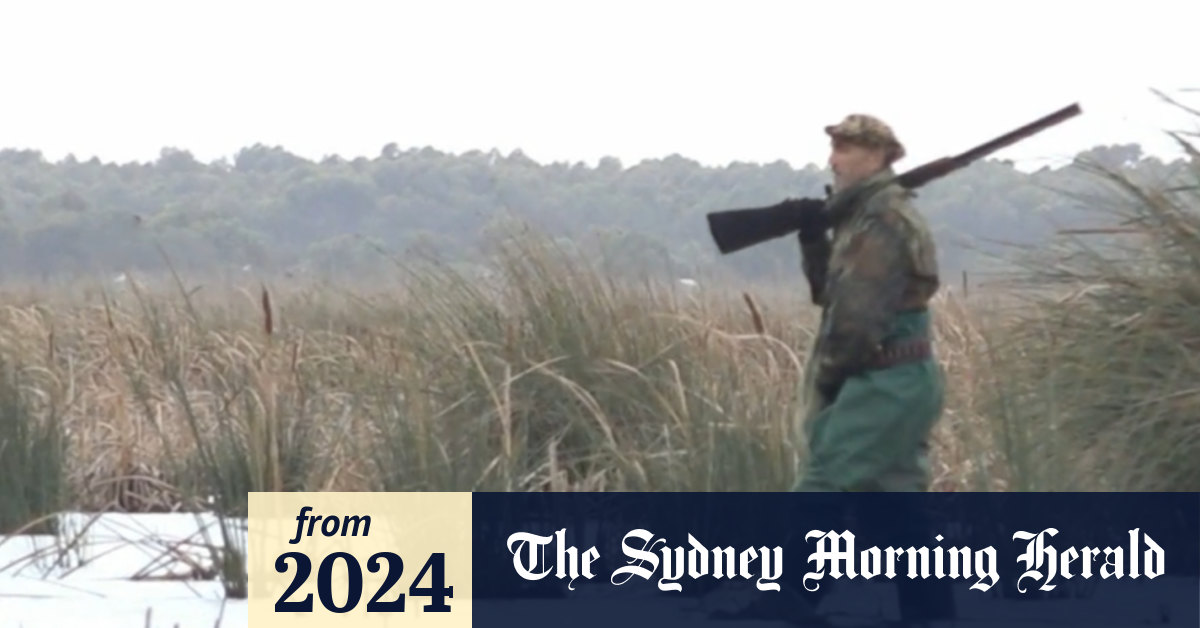 Video: Duck hunting to remain in Victoria