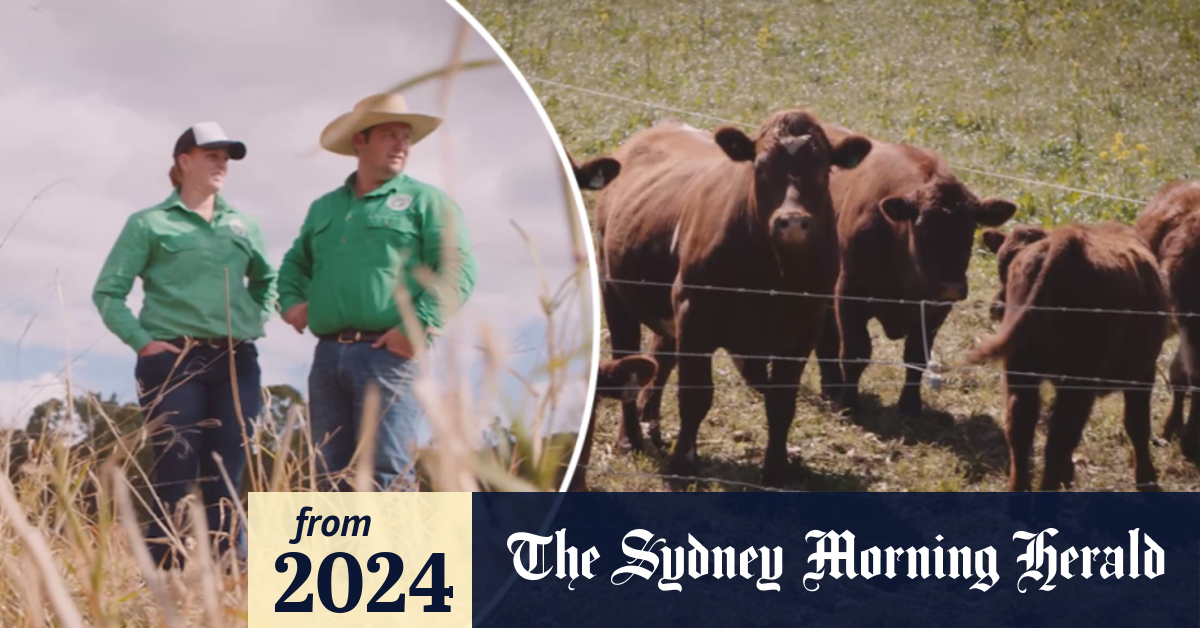 Video: Paddock to porch businesses booming as customers cut out middle man