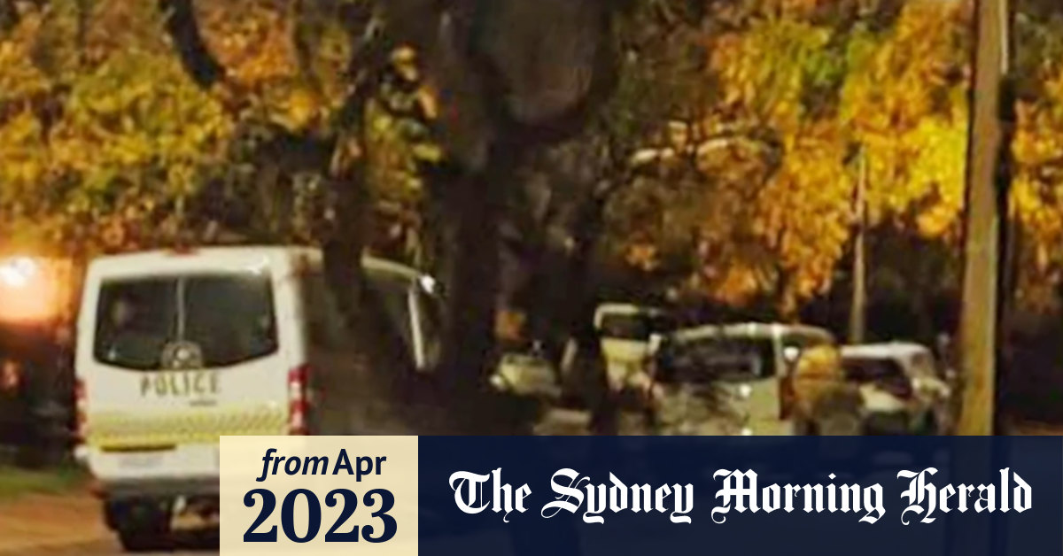 Video: Adelaide man charged with attempted murder after alleged assaults