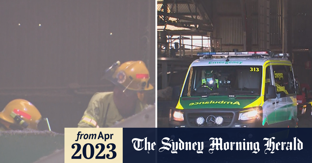 Video: Worker stuck inside machinery in Adelaide