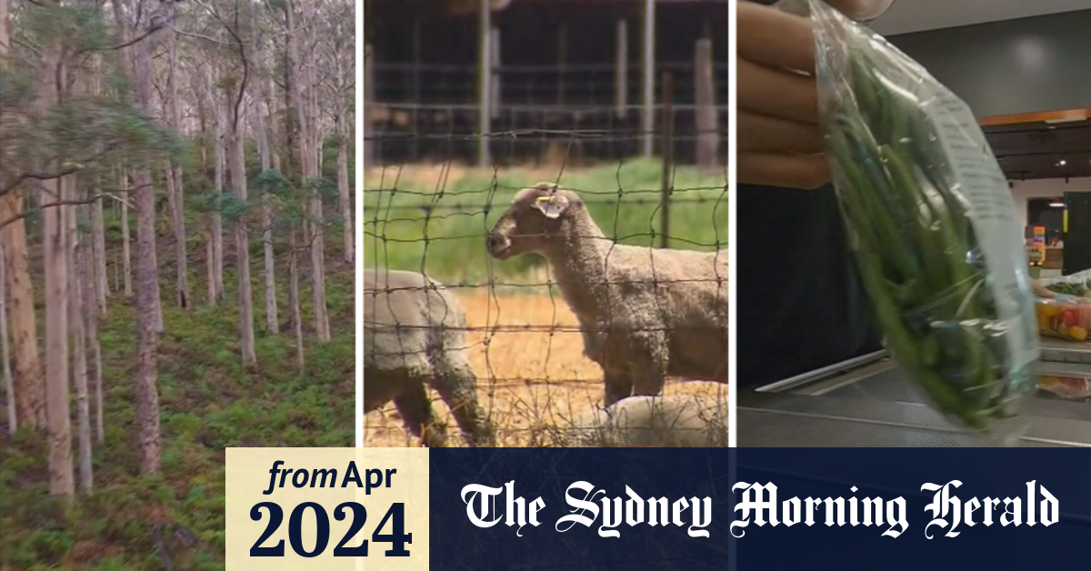 Video: WA farmers sounding alarm on costs