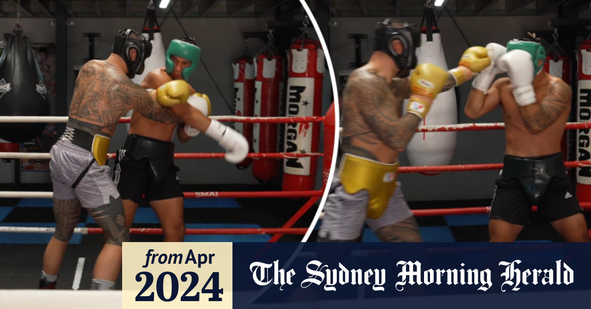 Video: Pedro starts boxing journey against Opetaia