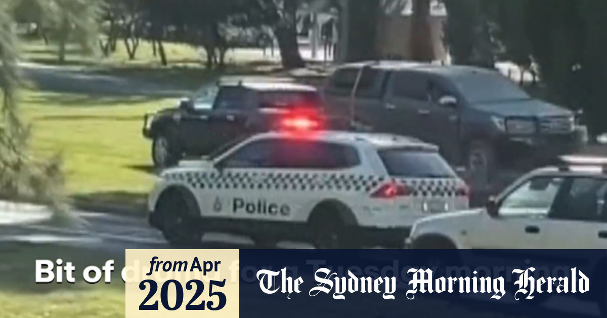 Video: Man plucked from Canberra’s lake by police after chase