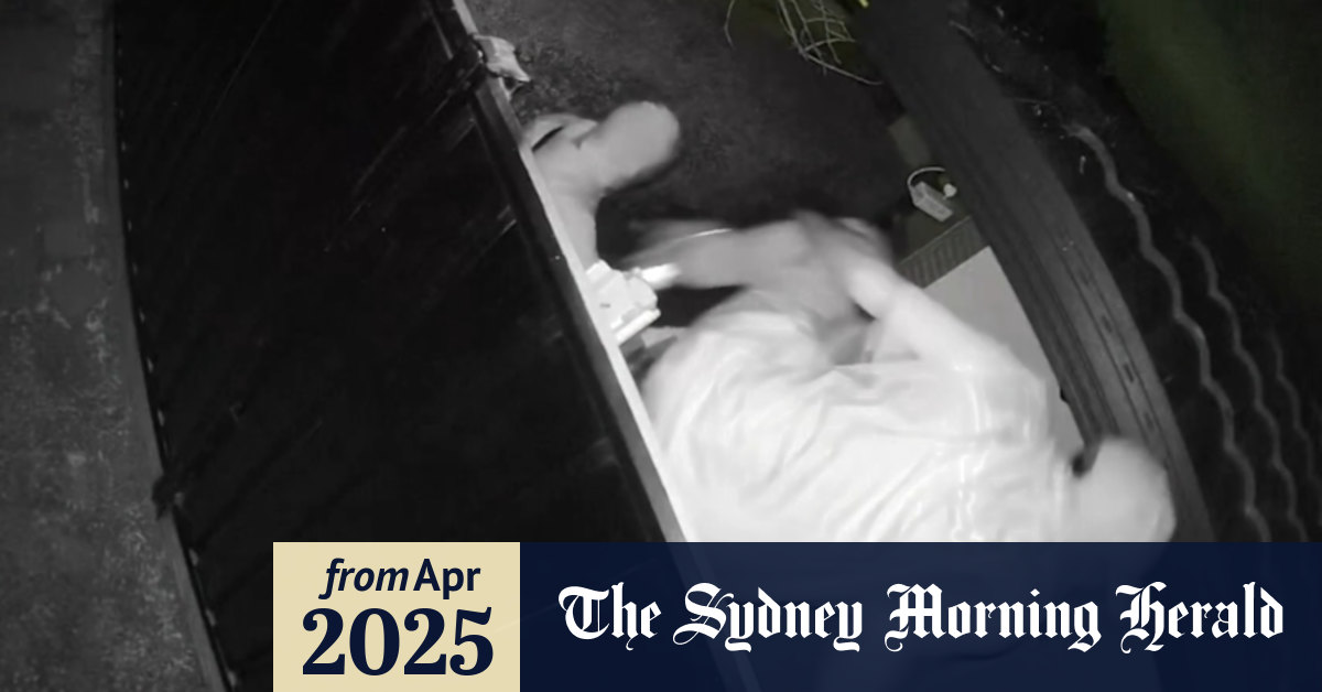 Video: Police search for gang after dad held at gunpoint in terrifying ...