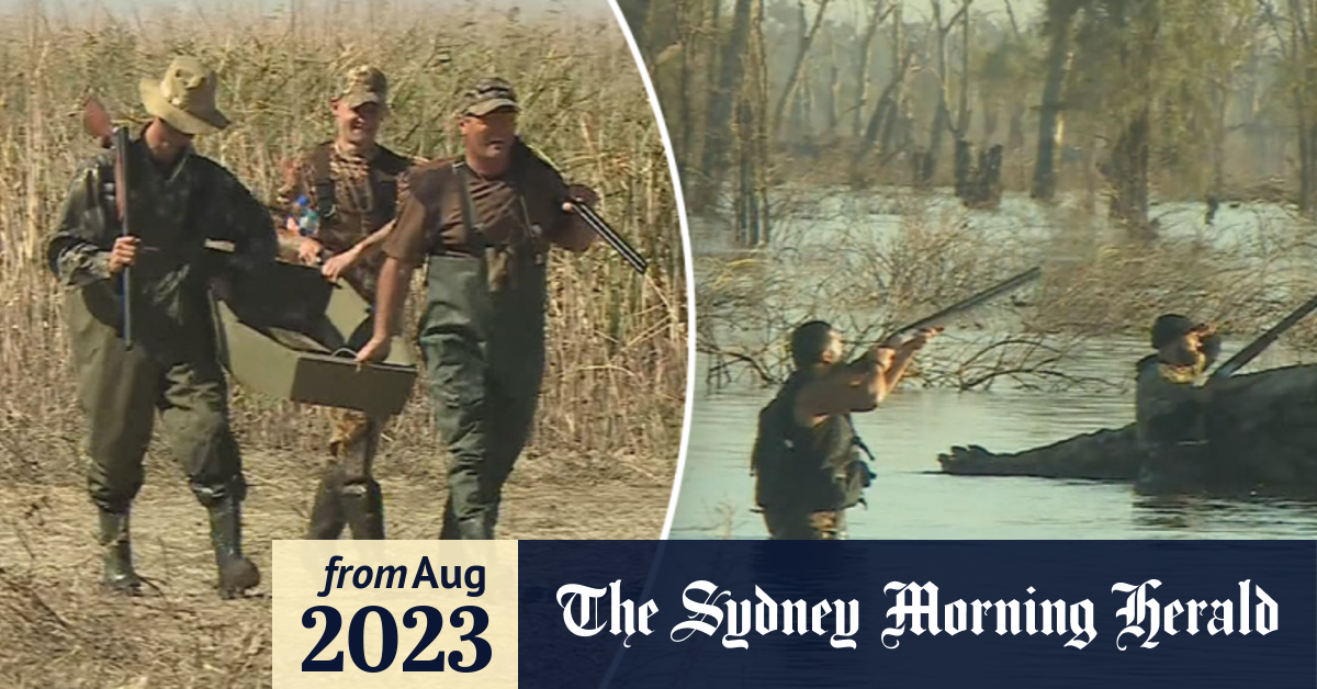 Video: Parliamentary inquiry recommends ban on duck hunting in Victoria