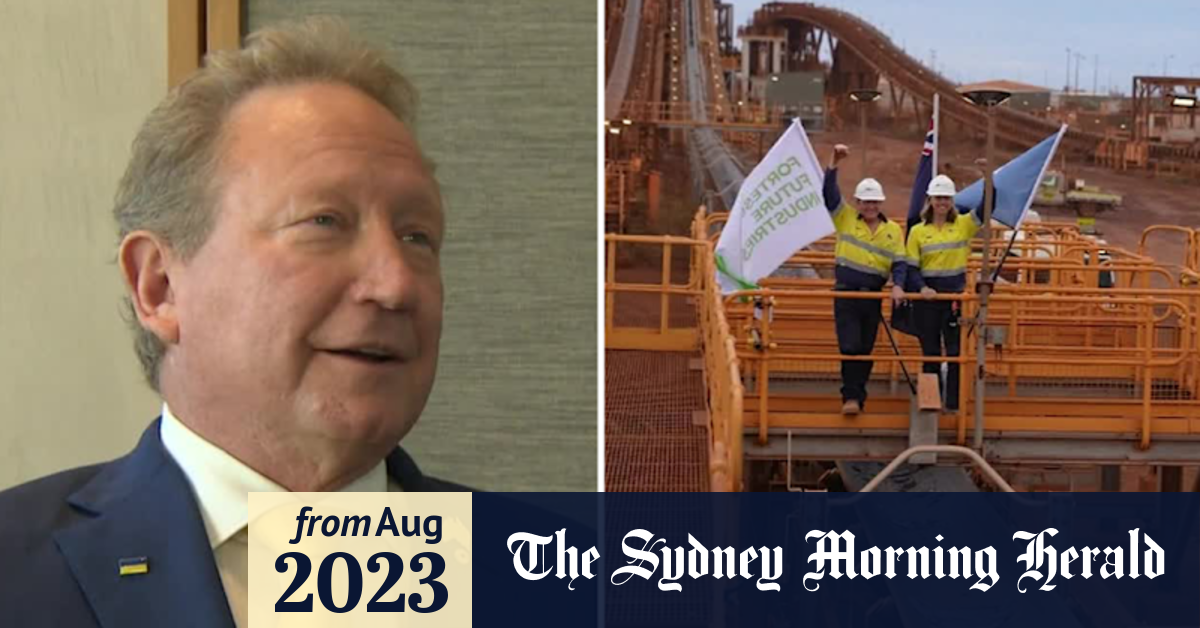 Video: Andrew Forrest opens up on his separation