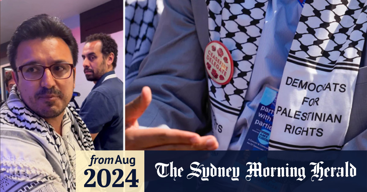 Video: Uncommitted delegates stage protest at DNC