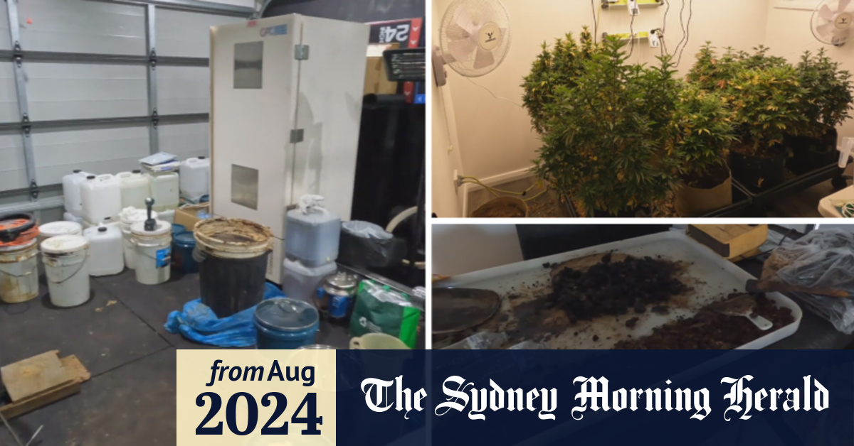 Video: Man charged after alleged active drug lab busted in Sydney