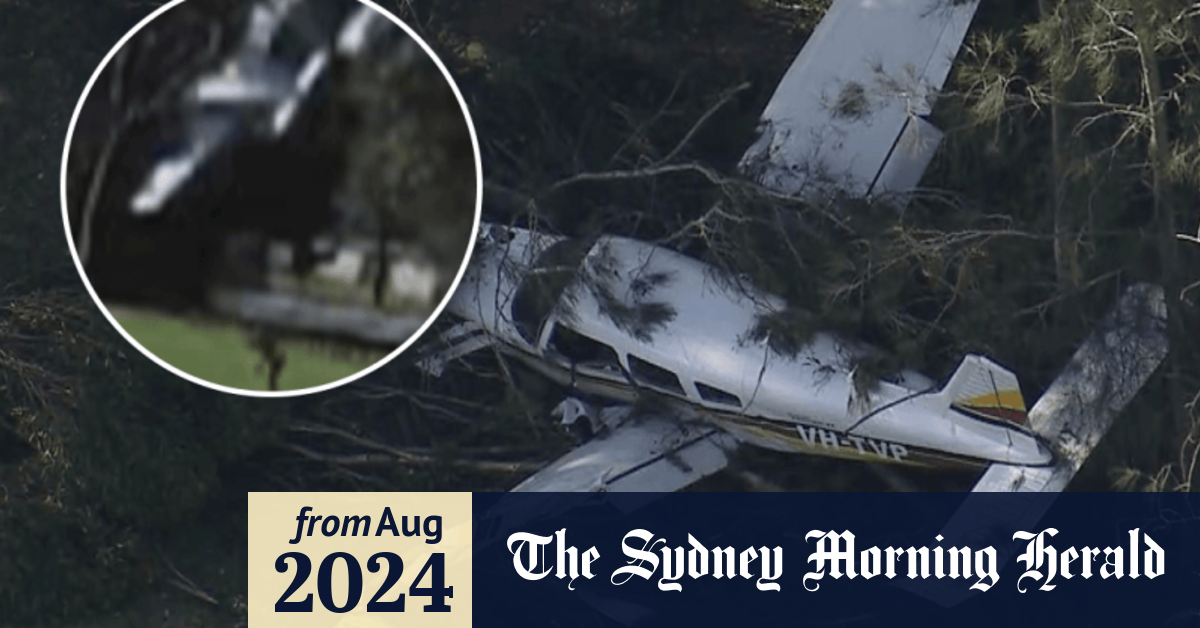 Video: CCTV shows moment plane crashes into trees opposite Sydney school