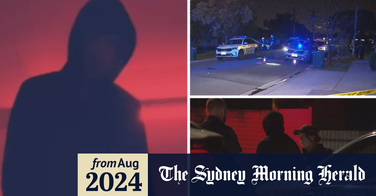 Video: Teen charged with attempted murder over Adelaide stabbing