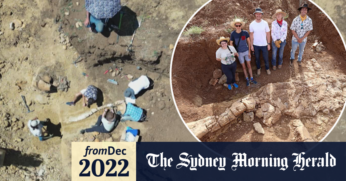 Video: Scientists uncover 100 million-year-old fossil in Queensland