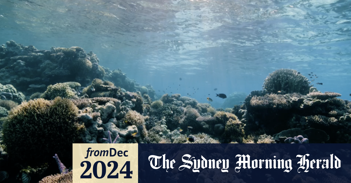 Video: Untapped beauty: The battle to save the wild Scott Reef from mining