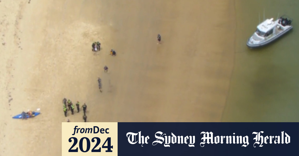 Video: Man dies after being pulled from water at Balnarring Beach