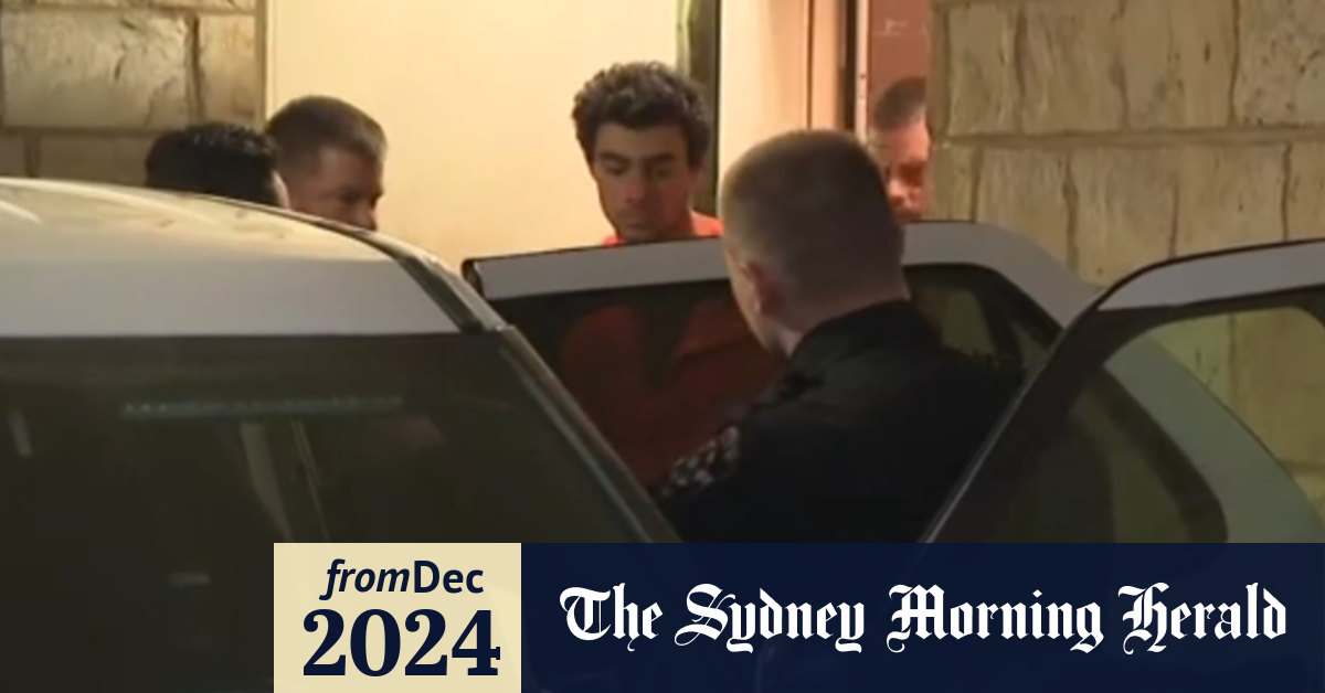 Video: Alleged CEO shooter charged with act of terror