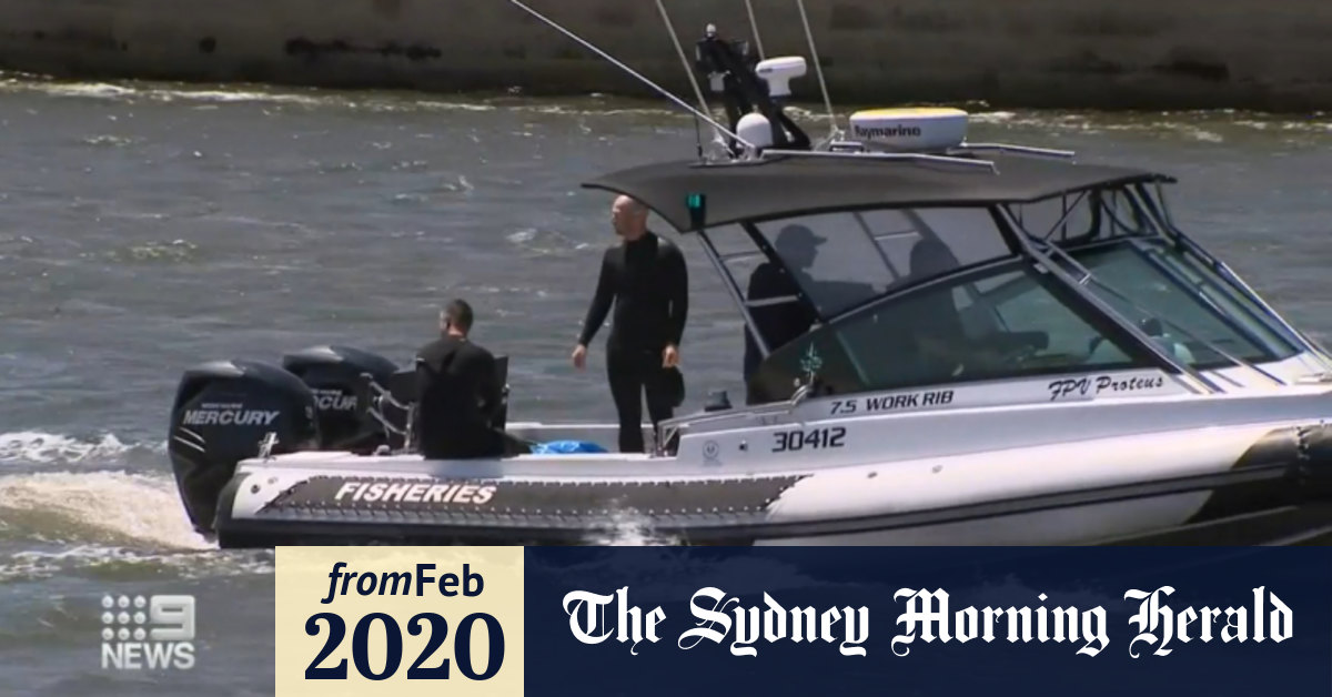 Video: Body of missing fisherman recovered from sea