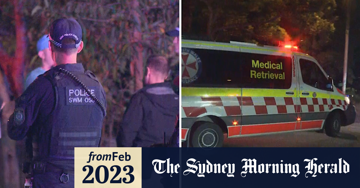 Video: Man fatally stabbed in Sydney park