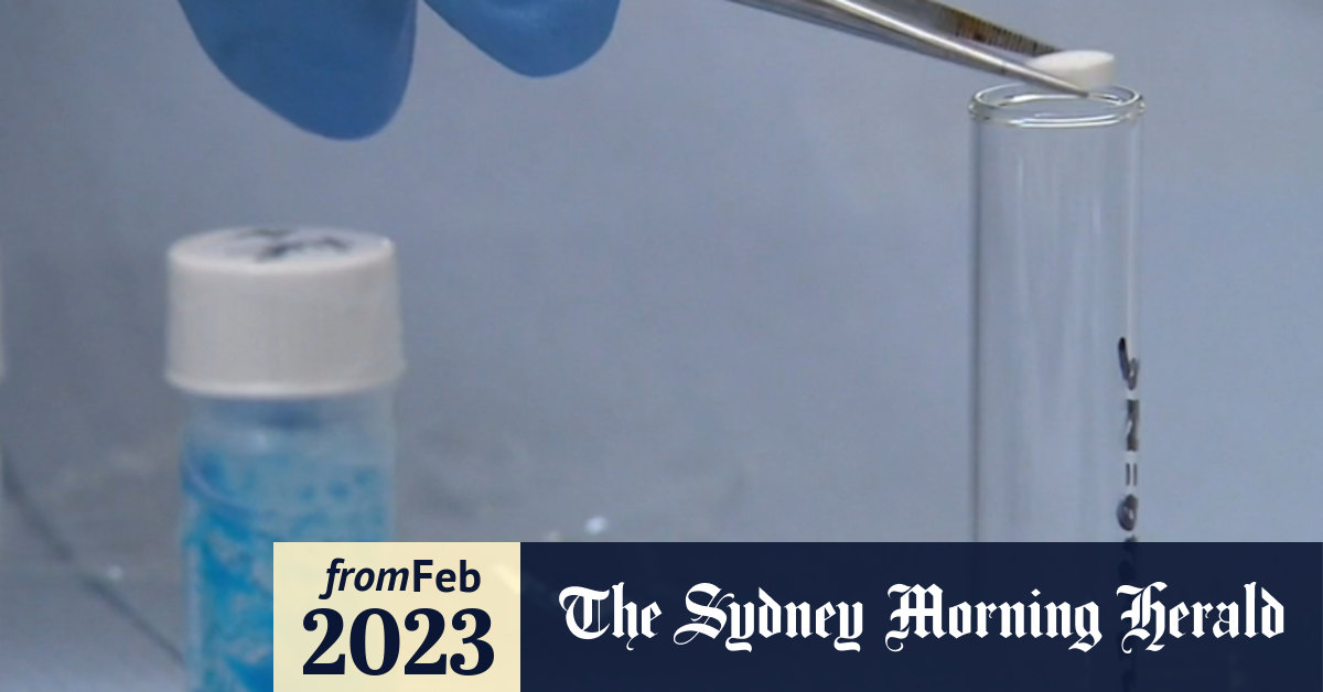 Video: Queensland introduces pill testing at music festivals