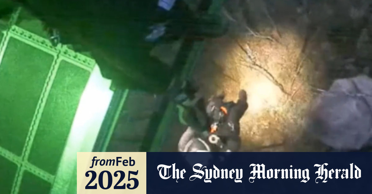 Video: Paraglider rescued from tree in Victoria after getting stuck in ...