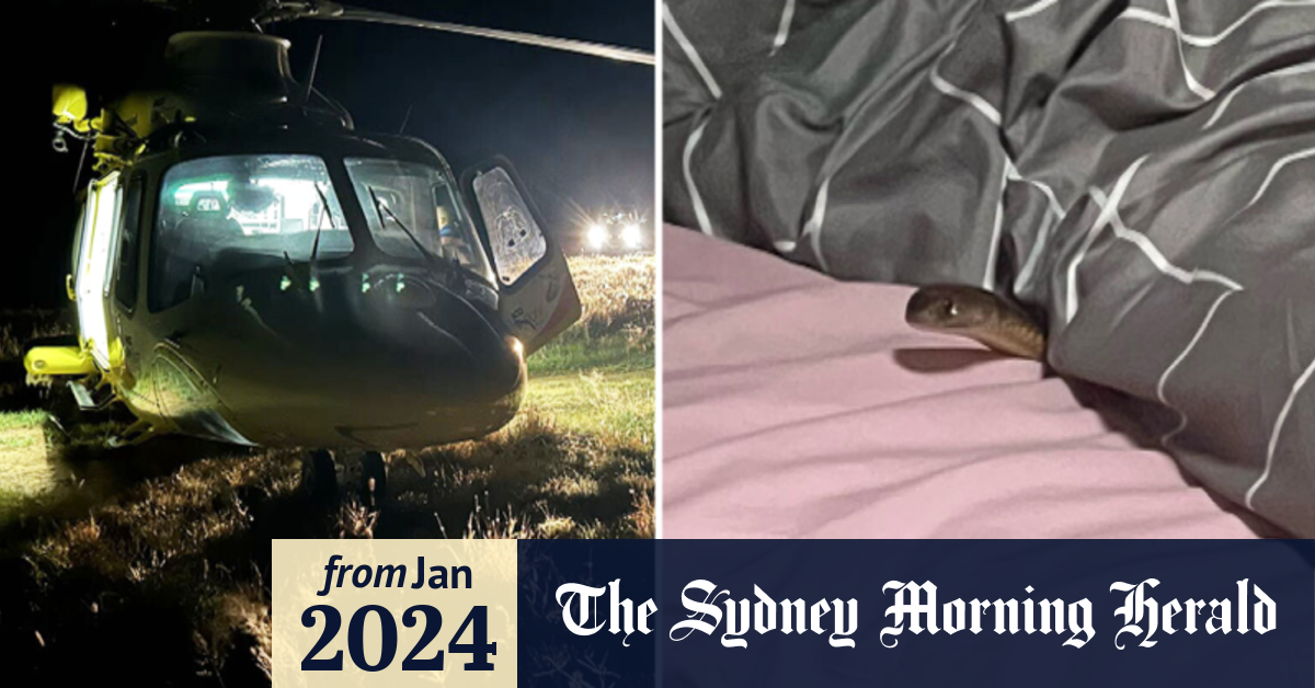 Video: Woman airlifted after being bitten by highly venomous snake