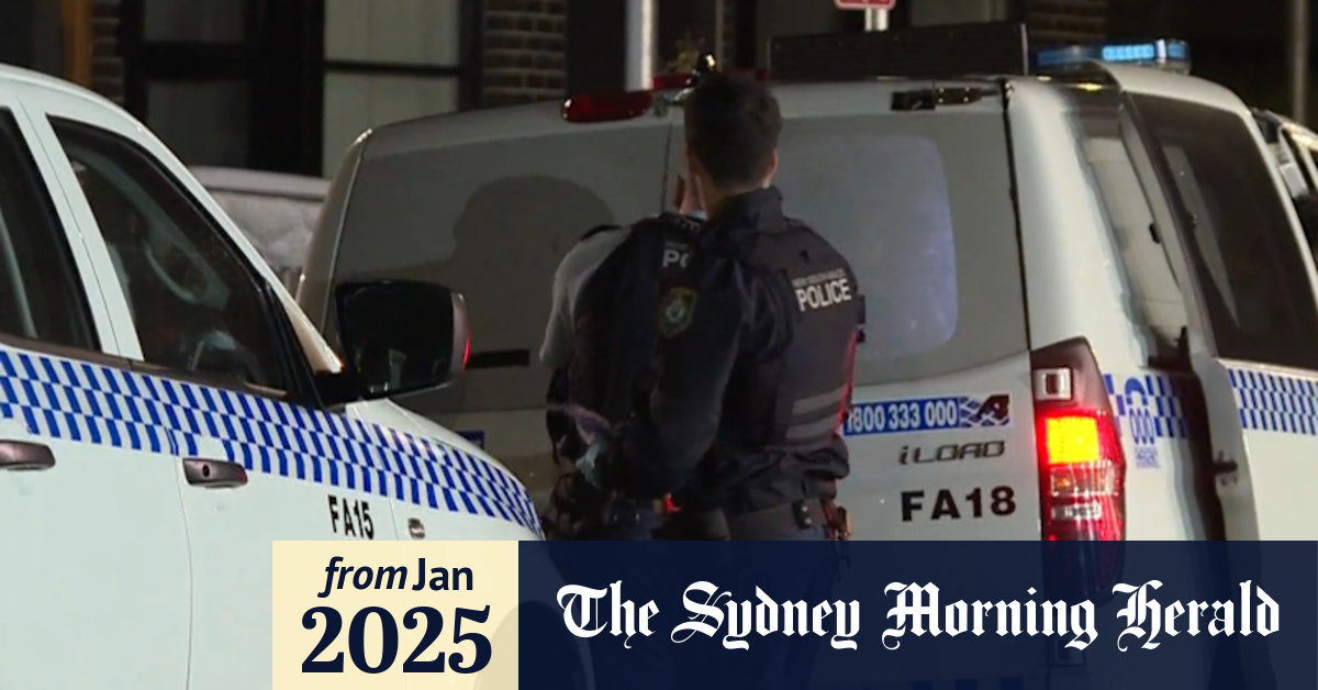 Video: Sydney man faces court accused of attacking woman