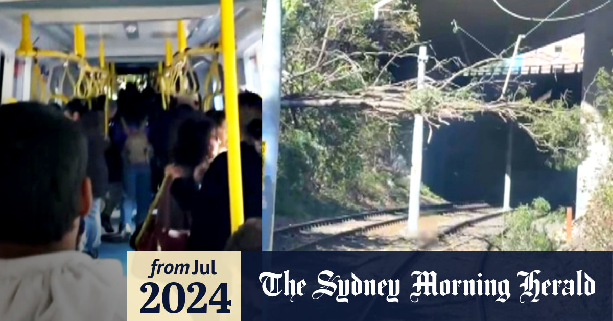 Video: Light rail carriage hit by fallen tree as damaging winds blast ...