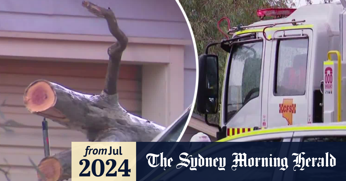 Video: Man seriously injured after massive tree branch falls