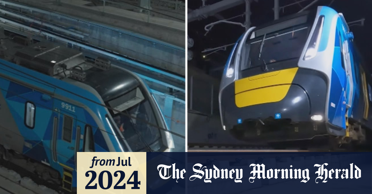 Video: Police search for stranger who pushed woman onto train tracks