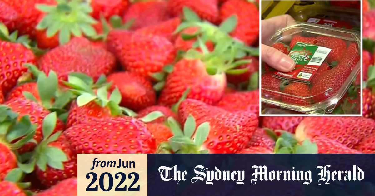 Video: Cost of strawberries grows higher than lettuce