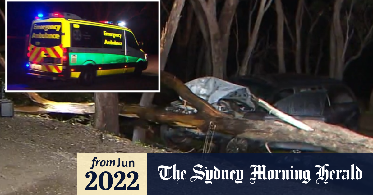Video: Four people injured in Adelaide car crash