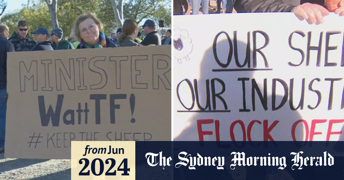 Video: Thousands descend on Wheatbelt in sheep export ban protest