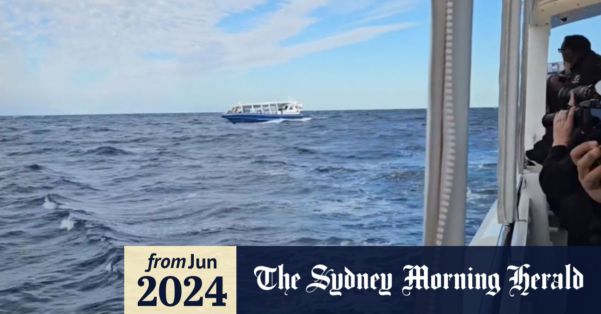 Video: Woman rescued after falling overboard from whale watching boat