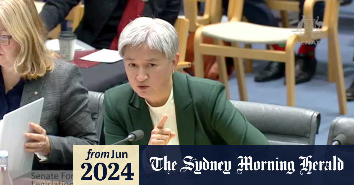 Video: Penny Wong accuses Greens of collaborating with violent anti ...