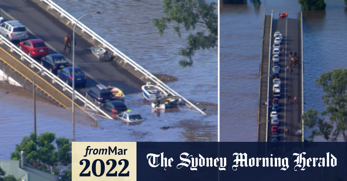 Video: Residents, animals rescued after becoming trapped overnight on ...