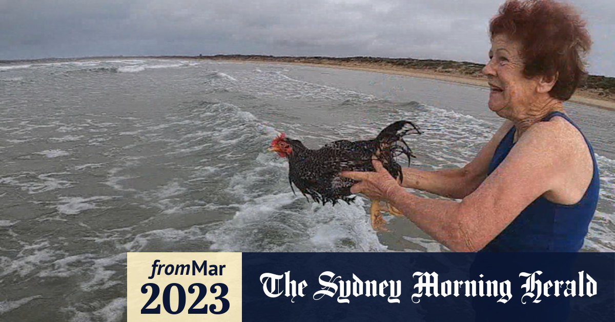 Video: Woman teaches chicken how to surf