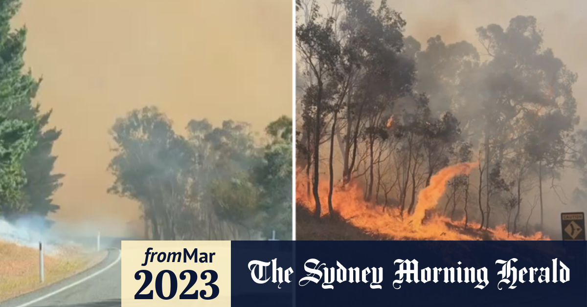 Video: Emergency bushfire warning for NSW town