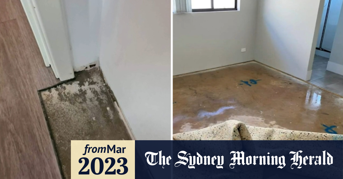 Video: Hundreds of homeowners are victims of a burst pipe nightmare in WA