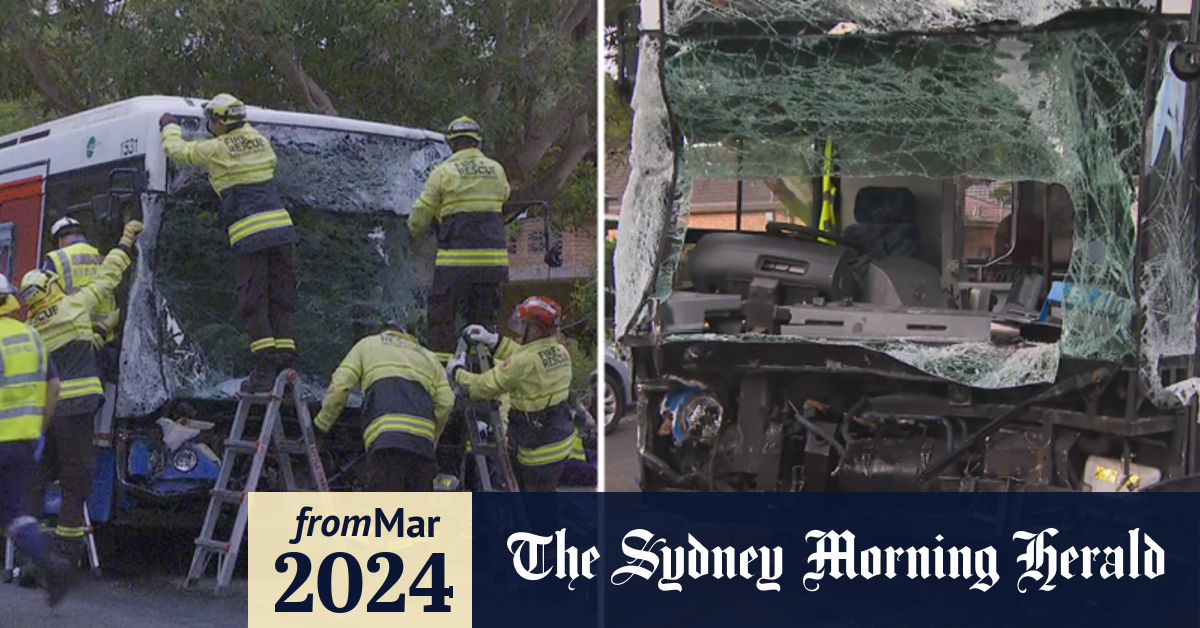 Video: Passengers detail chaos after horror bus crash