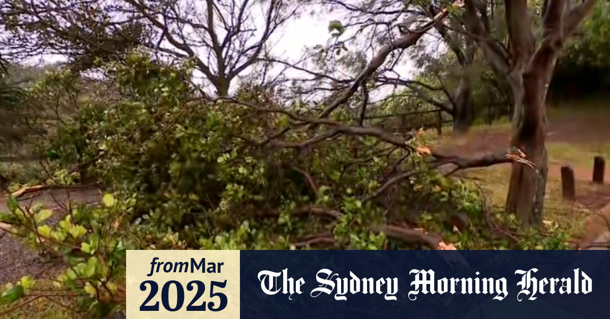 Video: Cyclone smashes Stradbroke Island