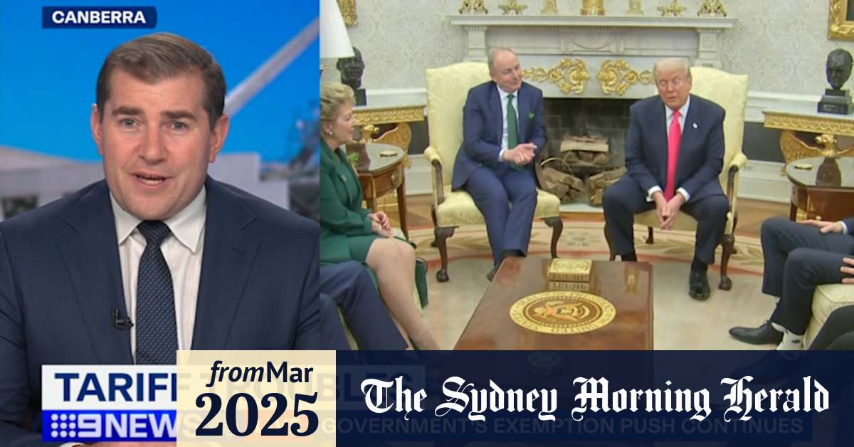 Video: US official labels Australia a 'dumper' as tariff fallout continues