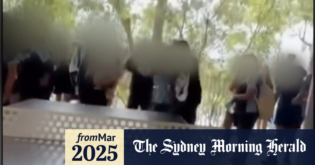 Video: Student suspended after fight at Sydney high school