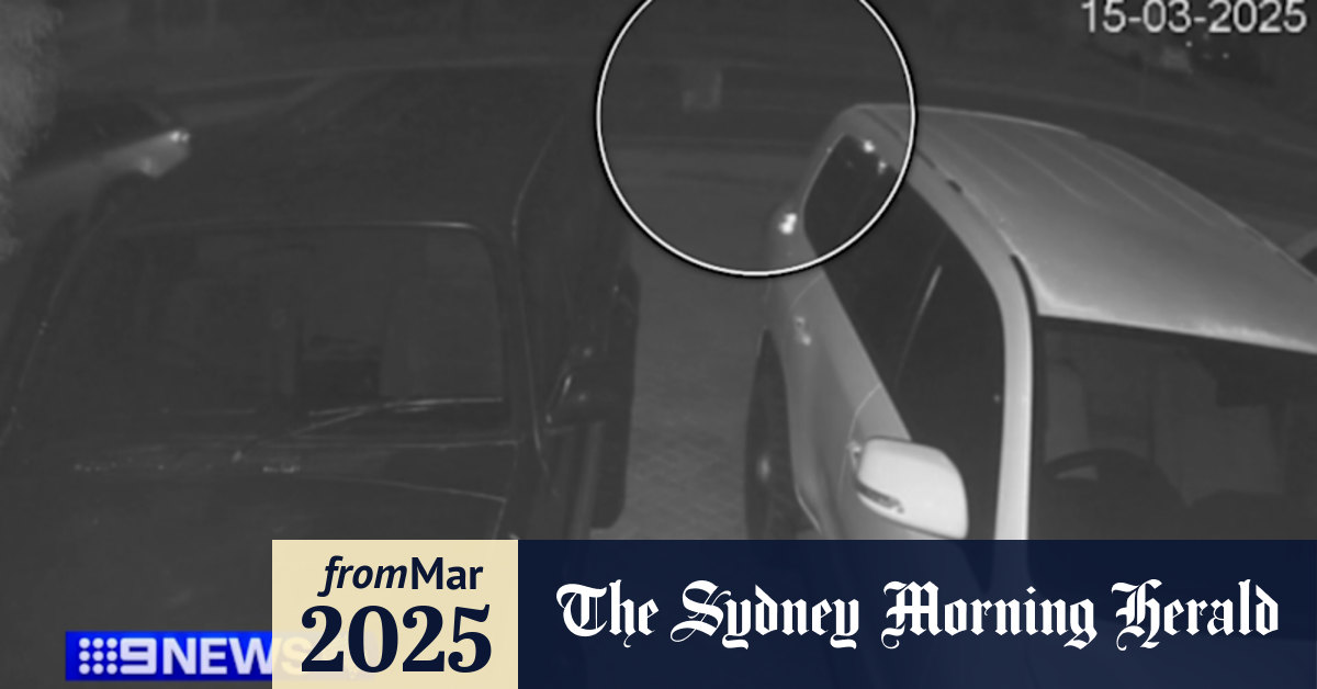 Video: Man, 75, takes on alleged intruder in WA