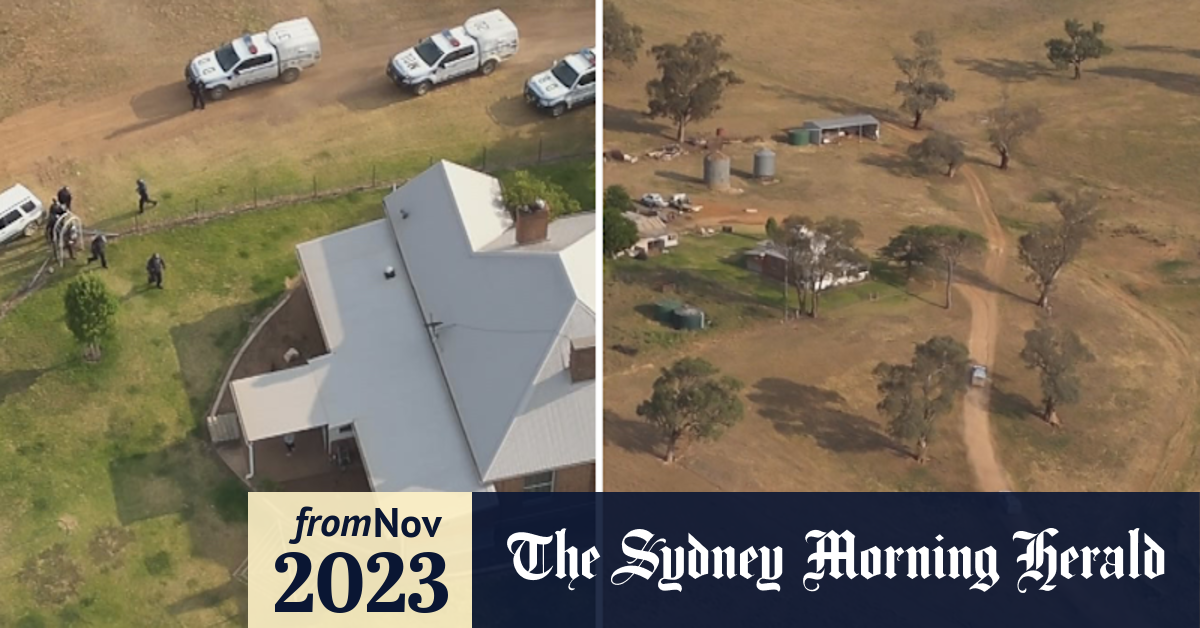 Video: Murder charge after bones found in tree