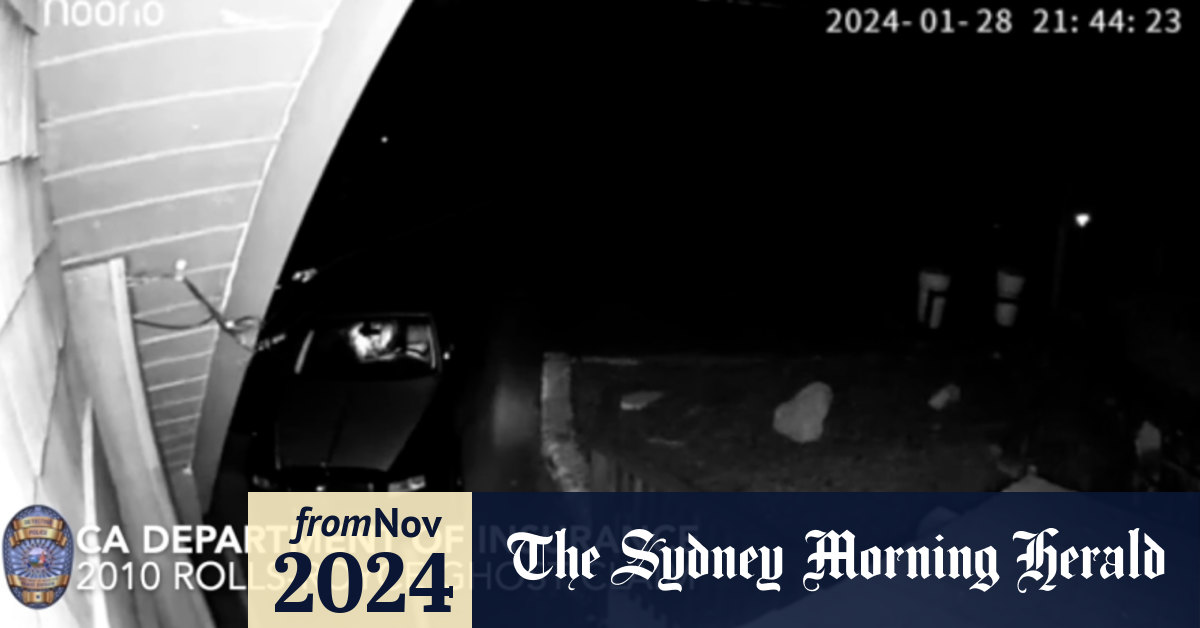 Video: Fake bear attacks for insurance payouts