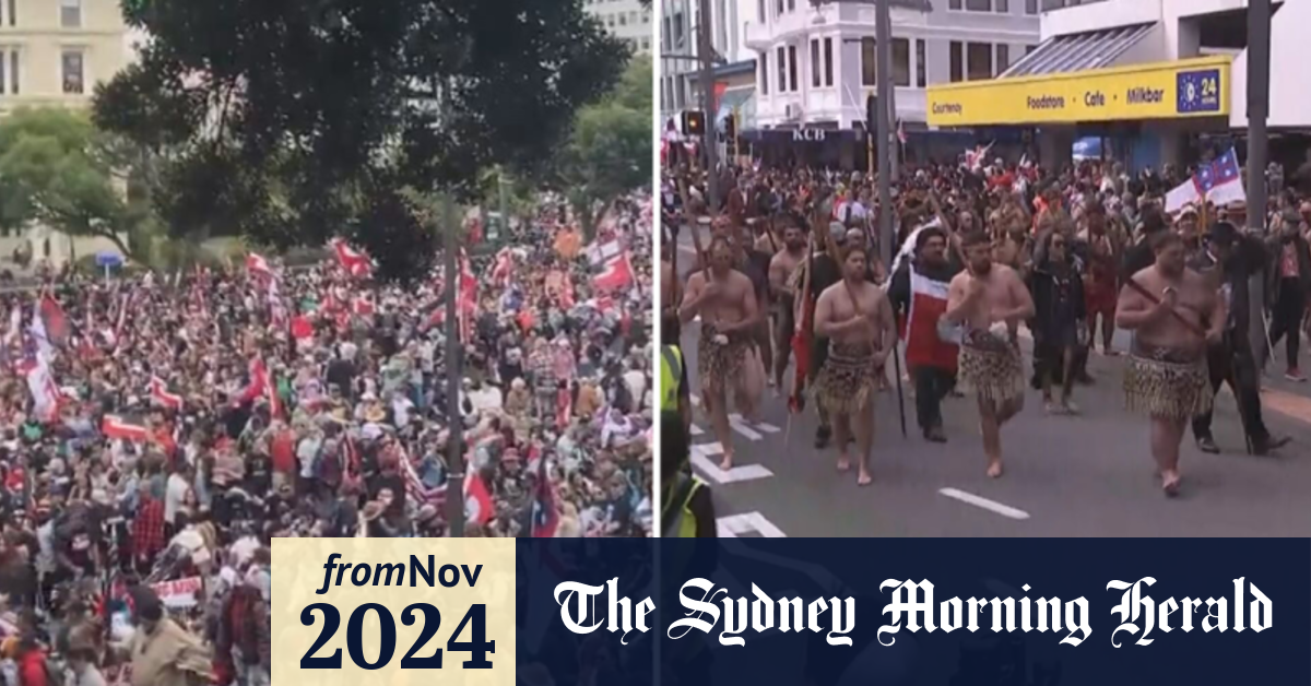 Video: Thousands protest in New Zealand