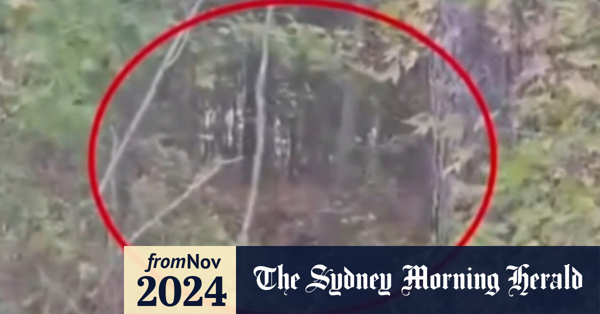 Video: Monkeys remain on the run from South Carolina lab