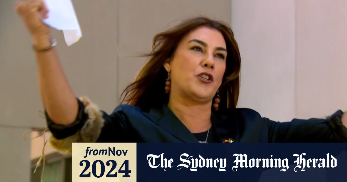 Video: Lidia Thorpe censured over King Charles protest