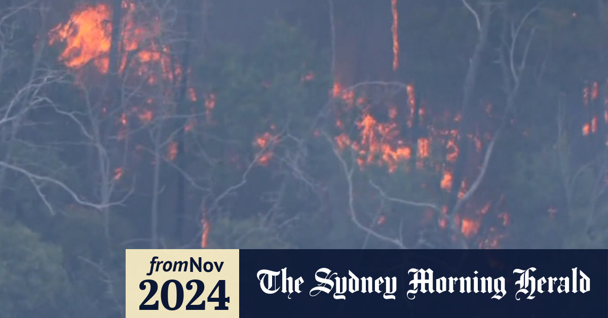 Video: Large parts of Australia facing increased bushfire risk this summer